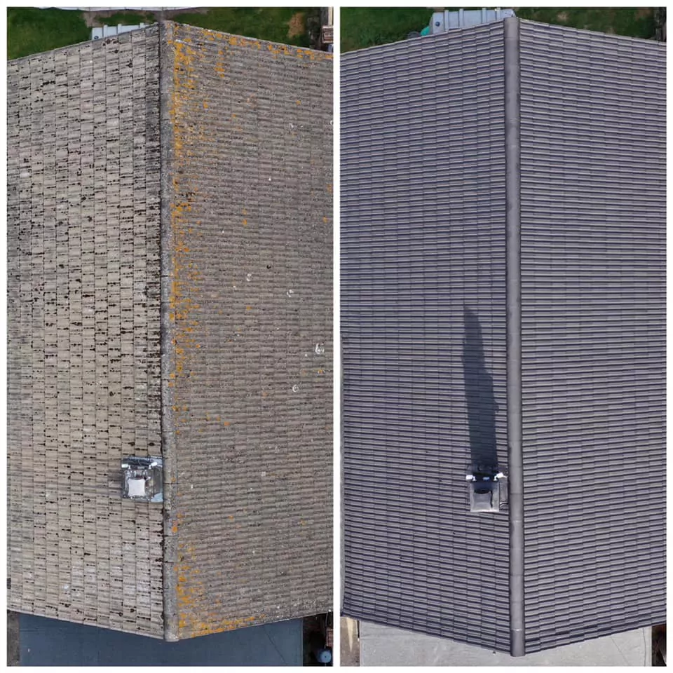 Roof Tile Painting Guide - Paintmaster